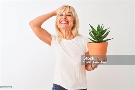 고립 된 흰색 배경 위에 서 선인장 냄비를 들고 중년 여성은 수치심과 깜짝 얼굴 분노와 좌절에 충격 머리에 손으로 스트레스