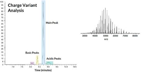 Zipchip Protein Characterization And Metabolomic Analysis