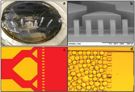 The Microfluidic Separation Module Preparation Process A During