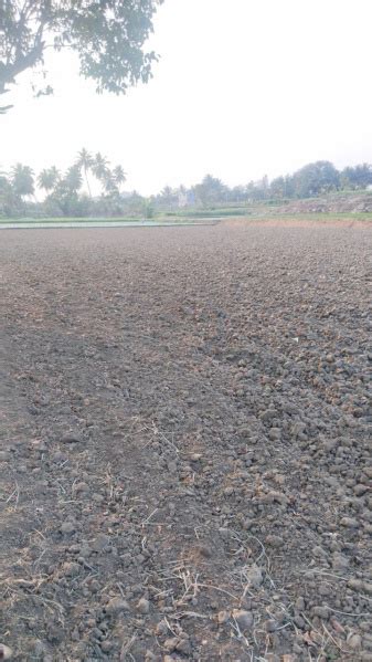 3 Acre Agricultural Farm Land For Sale In Shoolagiri Krishnagiri Rei1249110