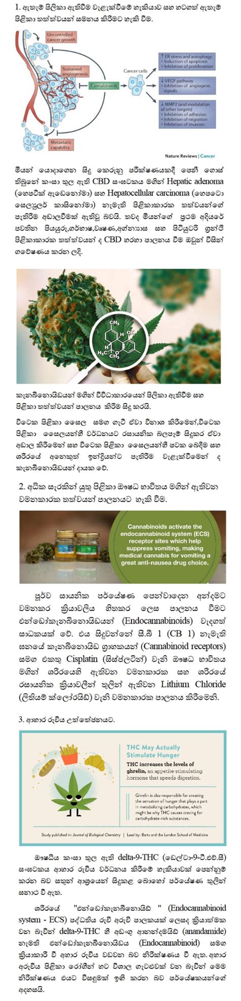 පිළිකාවට එරෙහිව ඖෂධීය කංසා