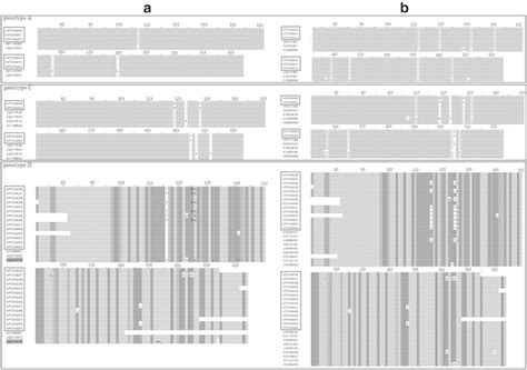 Alignment Of Hbv Sequences With A Different Bangladeshi Strains And B