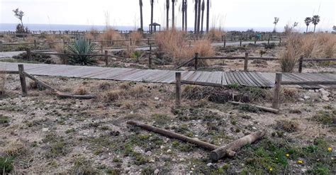 AlmerÍa El Psoe Denuncia El Abandono Total De El Toyo Por El Pp Y