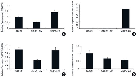 real time pcr gene expression of alp a dmp1 b osterix c and