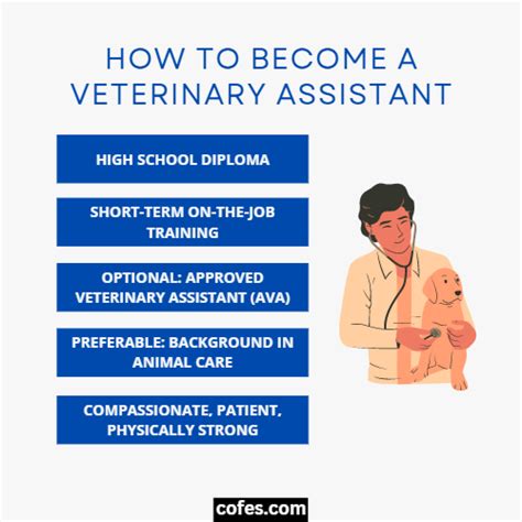 Veterinary Assistant Job Description Salary Duties And More 2024