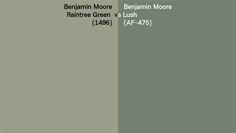 Benjamin Moore Raintree Green Vs Lush Side By Side Comparison