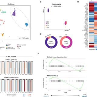 ScRNA Seq Reveals Intratumoral Heterogeneity And Evolution Dynamics In Download Scientific
