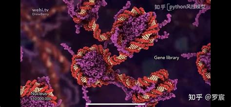 Dna Rna 蛋白质 And 代码 And 生命 知乎