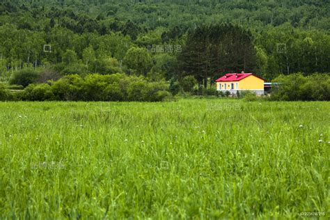 中国内蒙古自治区加格达奇塔列图湿地风光站酷海洛正版图片视频字体音乐素材交易平台站酷旗下品牌