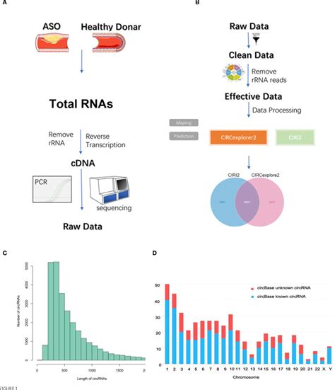 Figure 1 From Differential Expression Pattern Bioinformatics Analysis
