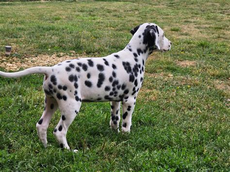 947a4e66 41d1 4bbc Bf3f 46b488ce1450 — Postimages