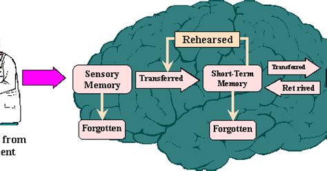 Teaching And Learning My Perspective Information Processing Theory