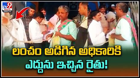 Viral Video అధికారి లంచం డిమాండ్ లంచం ఇవ్వలేక ఎద్దుని తీసుకోమన్న