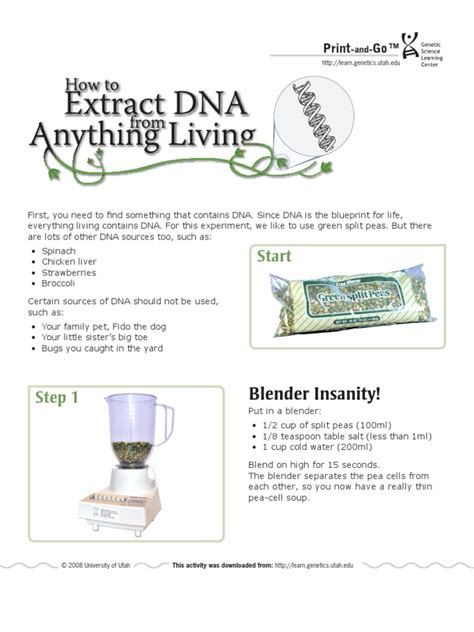 Dna Extraction Ethanol National Institutes Of Health