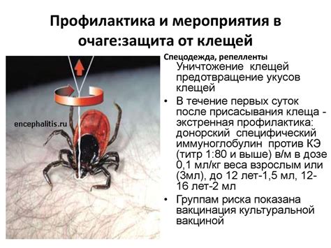 Клещевой энцефалит - презентация онлайн