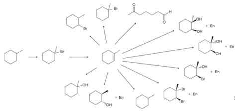 Chapter 11 Synthesis Flashcards Quizlet