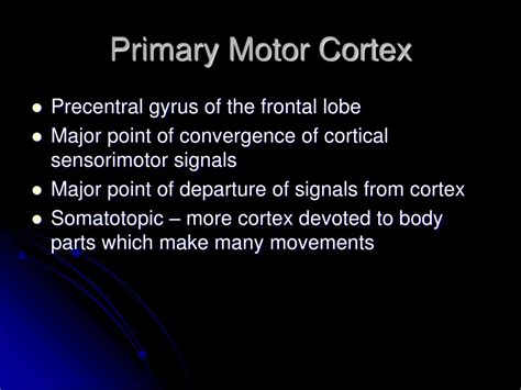 Ppt Sensorimotor Systems Learning Memory And Amnesia Powerpoint Presentation Id 3988800