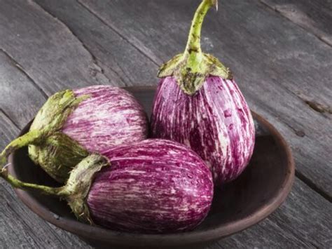 10 Types Of Eggplant Different Varieties Insanely Good