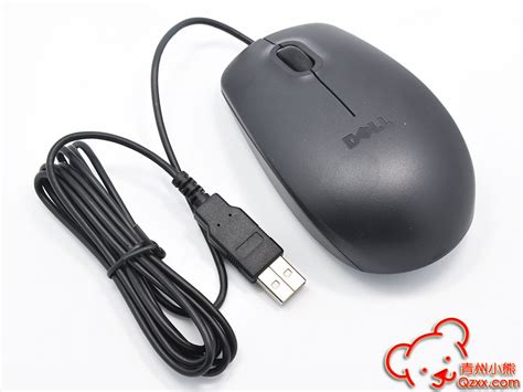 拆解个戴尔 Dell鼠标 有线鼠标 笔记本台式机电脑 usb光电鼠标MS111 P 青州小熊