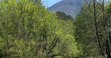 An Endangered River Worth Saving Us Fish And Wildlife Service