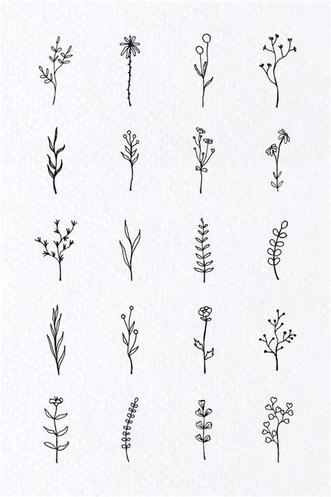 The Different Types Of Flowers Are Drawn In Black Ink On White Paper