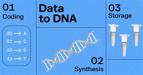 Dna Data Storage The Next Chapter