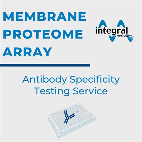 Integral Molecular On Linkedin Tissue Cross Reactivity For Antibody