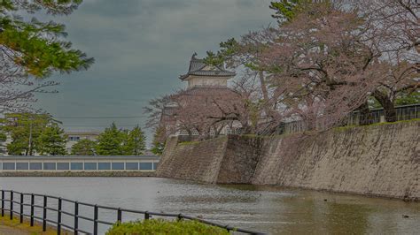 新発田藩新田開発に力をそそいだをわかりやすく解説城写真と知的旅なら日本の旅侍