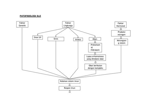 Patofisiologi Sle DOCX