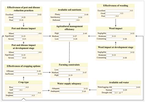 Overview Of Causal Relationships Defining The Farming Constraints In Download Scientific