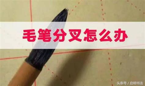 毛筆分叉是怎麼回事毛筆分叉怎麼辦附圖解析 每日頭條