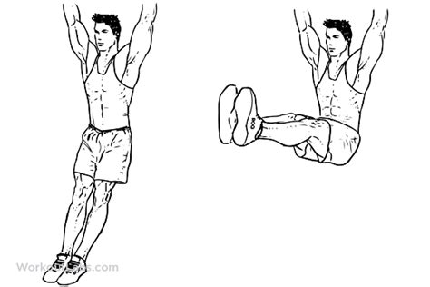 Hanging Leg Raise Illustrated Exercise Guide Workoutlabs