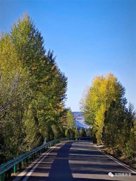 凤翔镇：抓住秋天的尾巴 共赏最后一波秋色澎湃号·政务澎湃新闻 The Paper