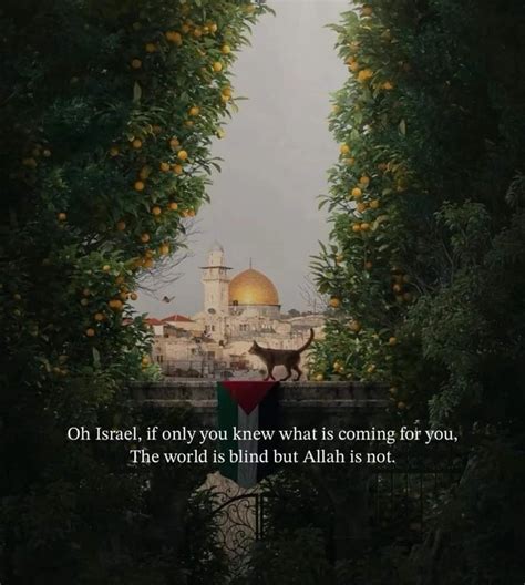 Maulana Hasnain Shaikh On Linkedin Indeed🇵🇸
