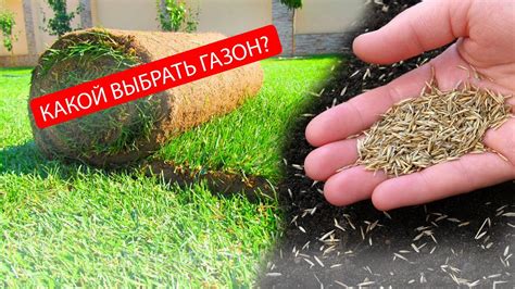 Ландшафтный дизайн участка Газон Youtube