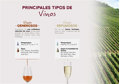 Vinos Tipos De Vino Y De Uvas Lidl
