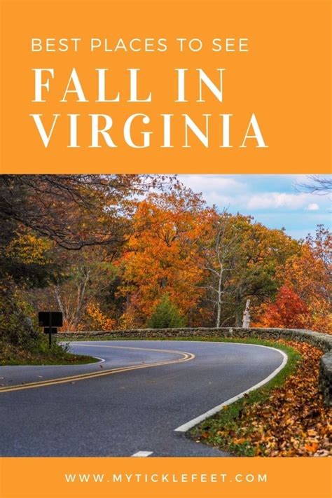 Best Places To See Fall Colors In Virginia