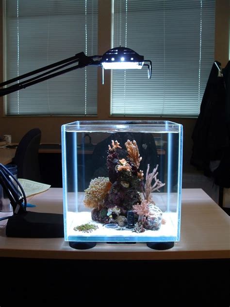 Modern Aquarium Design For Reef Aquaria And Freshwater Reef Builders