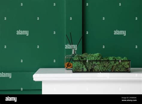 Container With Decorative Moss And Reed Diffuser On Mantelpiece Near