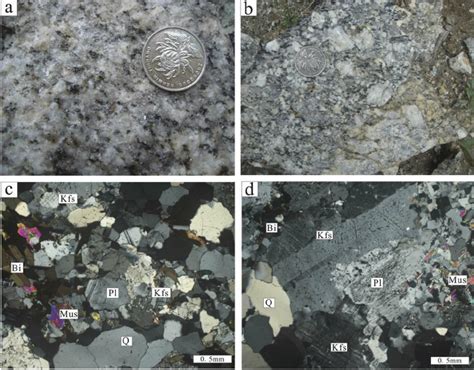 A Medium Grained Biotite Granite With Equigranular Texture B