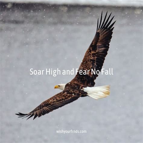 Top 10 Eagle Quotes Wish Your Friends