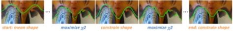 Semi Automated Segmentation Of Human Head Portraits
