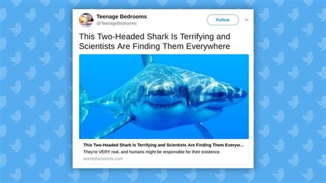 Shark With Two Heads
