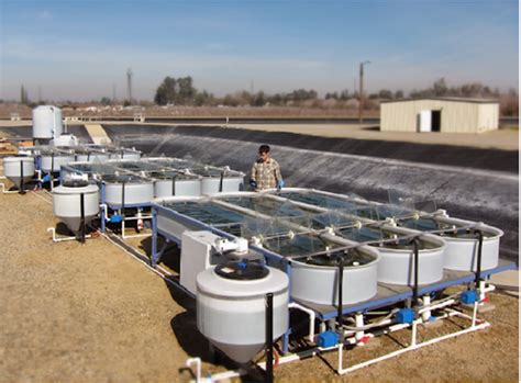 A Model System For Microalgae Production Forecasting Department Of Energy