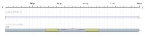 Bioconductor Transcript Coordinate Ranges To Genomic Coordinates Bioinformatics Stack Exchange