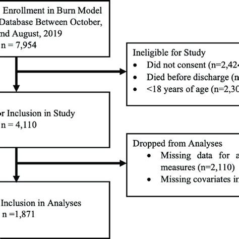 Flowchart Of Inclusion And Exclusion Criteria Download Scientific