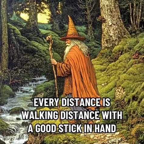 30 Whimsical And Funny Wizard Memes From Golden Frog Inn Thatll Put