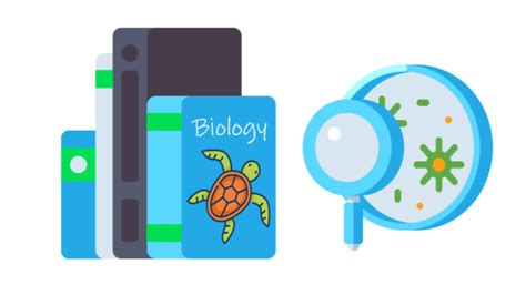 Ap The Biology Corner