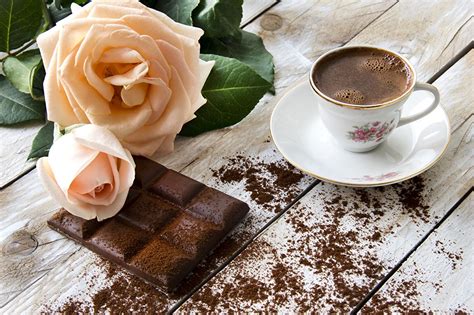 Bilder Schokolade Rosen Kaffee Kakaopulver Blüte Tasse Untertasse