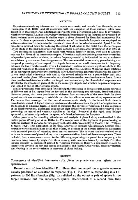 Integrative Processing Of Vibratory Information In Cat Dorsal Column Nuclei Neurones Driven By